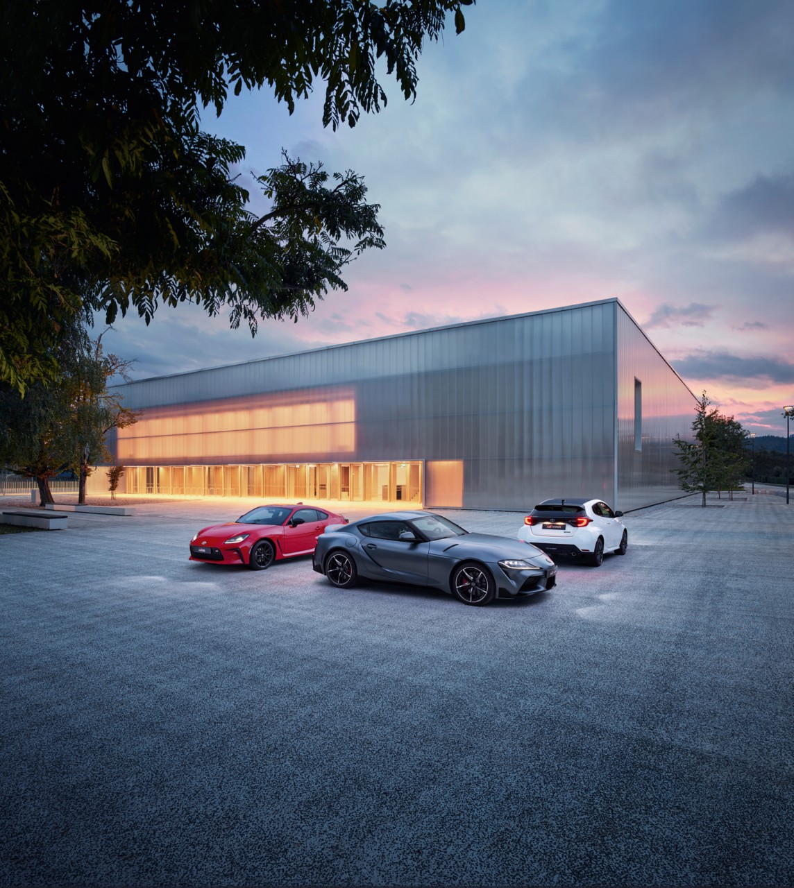 Campeonato Mundial de Rally WRC | Toyota Gazoo Racing